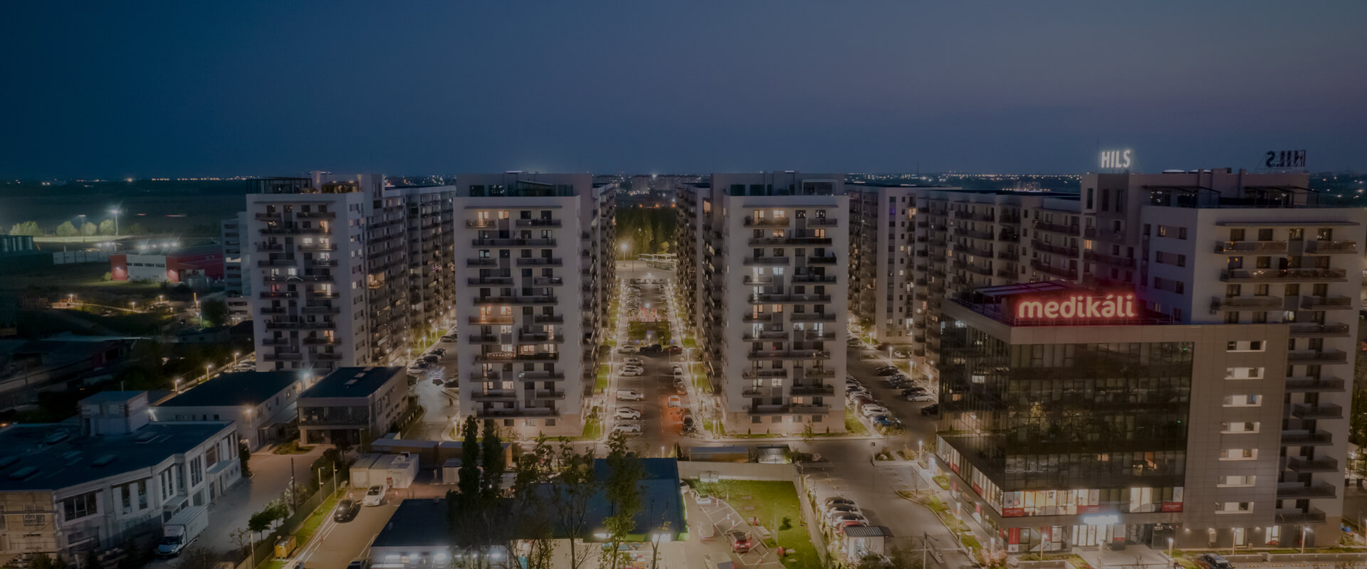 Despre Dezvoltator - HILS Development